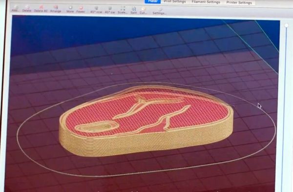 Nova Meat Hopes to 3D Print Your Steak « Fabbaloo