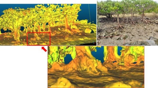 Question of the Week: 3D Scanning A Tree « Fabbaloo
