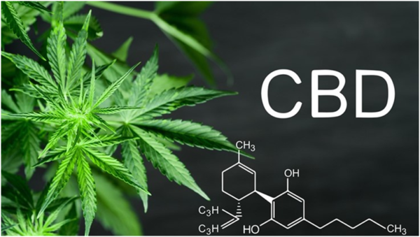 CBD Products, Hemp, and 3D Printing « Fabbaloo