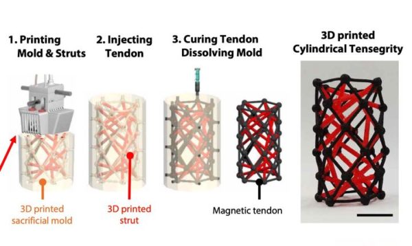 How To 3D Print Tensegrity Structures « Fabbaloo
