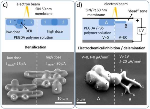 X-Ray 3D Printing! « Fabbaloo