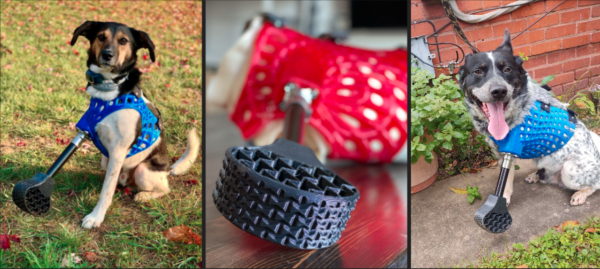 Designing 3D Printed Animal Prosthetics « Fabbaloo