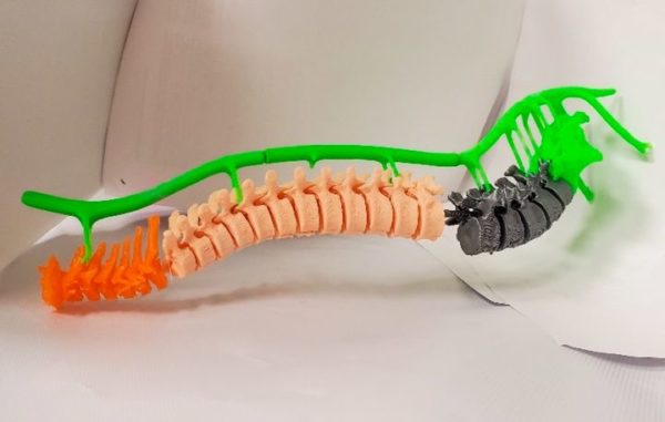 The Case For 3D Printing Learning Aids « Fabbaloo