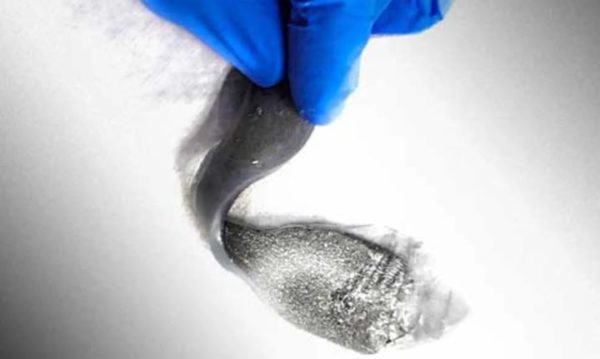 New Soft, Stretchable Metal Can Be 3D Printed « Fabbaloo