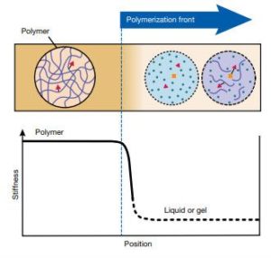 Is FROMP the Next Cost-Saving Thermoset Polymer Curing Strategy? « Fabbaloo