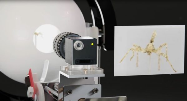 scAnt: An Open Source 3D Scanner For Ants « Fabbaloo