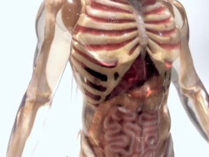 Seven Real Applications For Full-Color 3D Printing « Fabbaloo