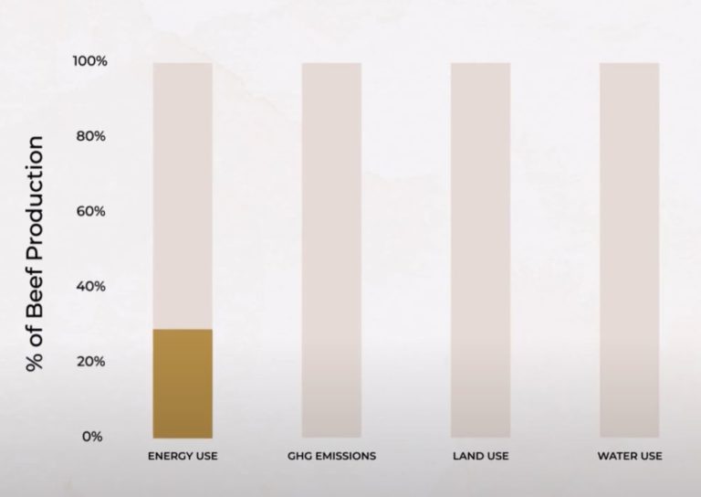 MeaTech: A Deliciously Sustainable Future « Fabbaloo
