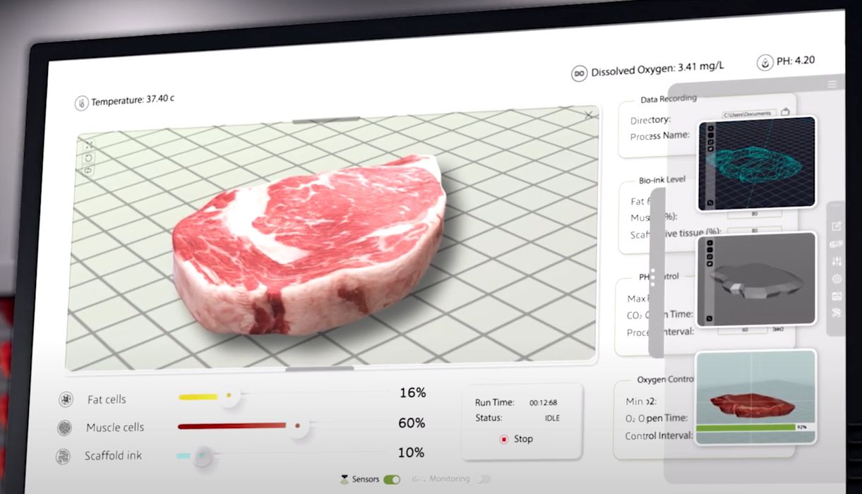 MeaTech: A Deliciously Sustainable Future « Fabbaloo