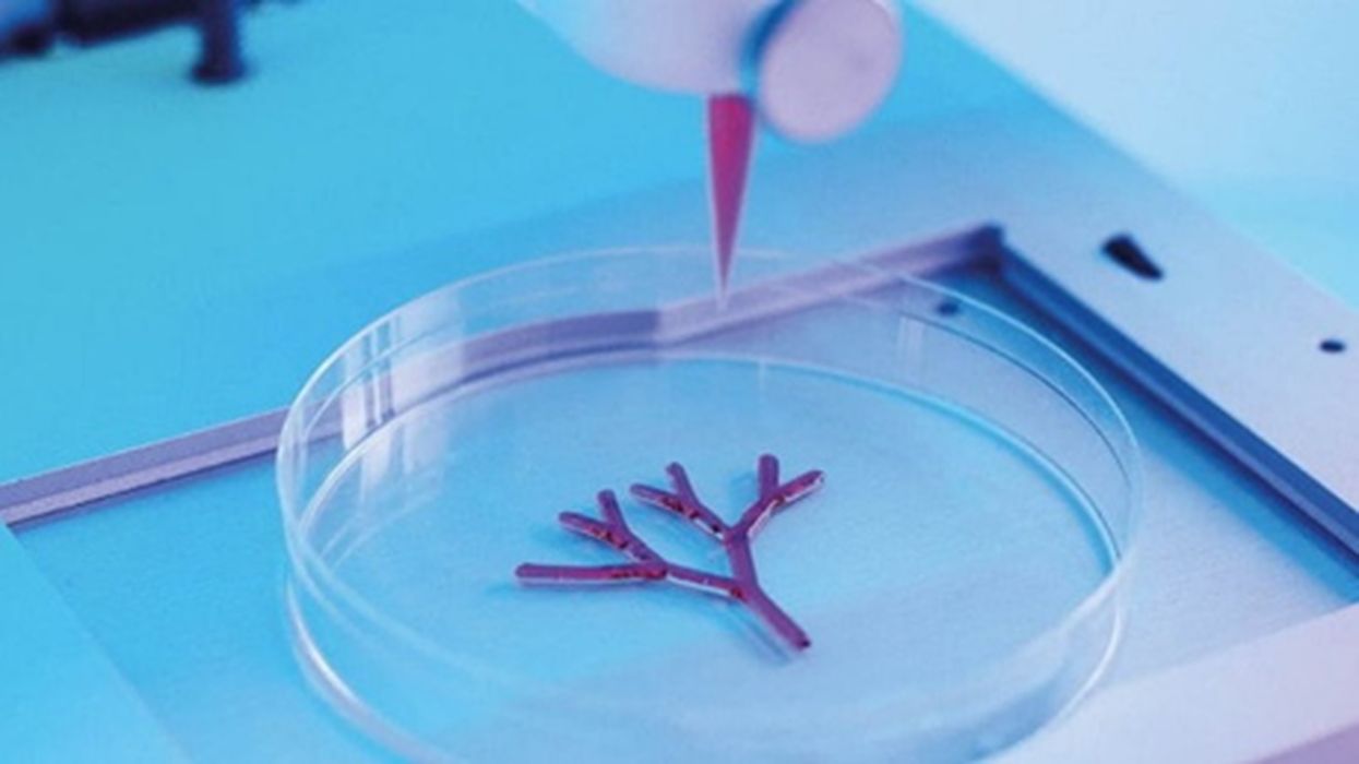 Cellink-Lonza Partnership Brings New Possibilities for 3D Bioprinting ...