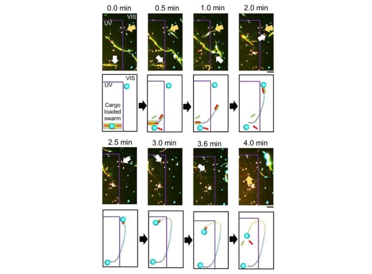 Could Molecular Robotics be the 3D Printing Process of the Future ...