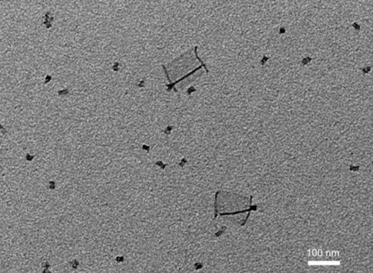 An Experimental Microscopic Printer Made of DNA? « Fabbaloo