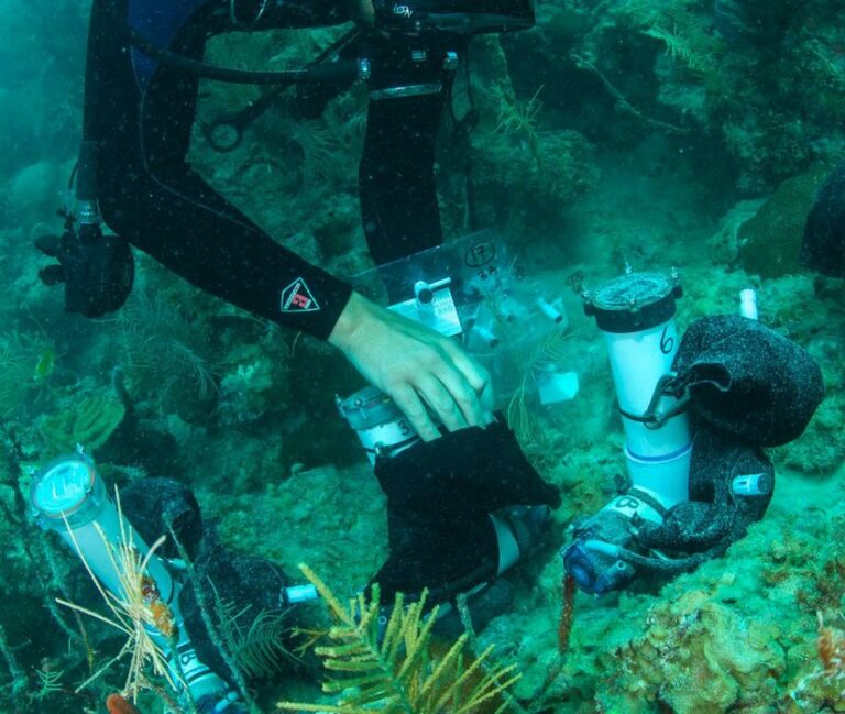 A Different Environment: 3D Printing Underwater Parts « Fabbaloo
