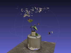 Hands on with the Luma NeRF 3D Scanner App « Fabbaloo