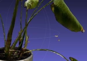 Hands on with the Luma NeRF 3D Scanner App « Fabbaloo