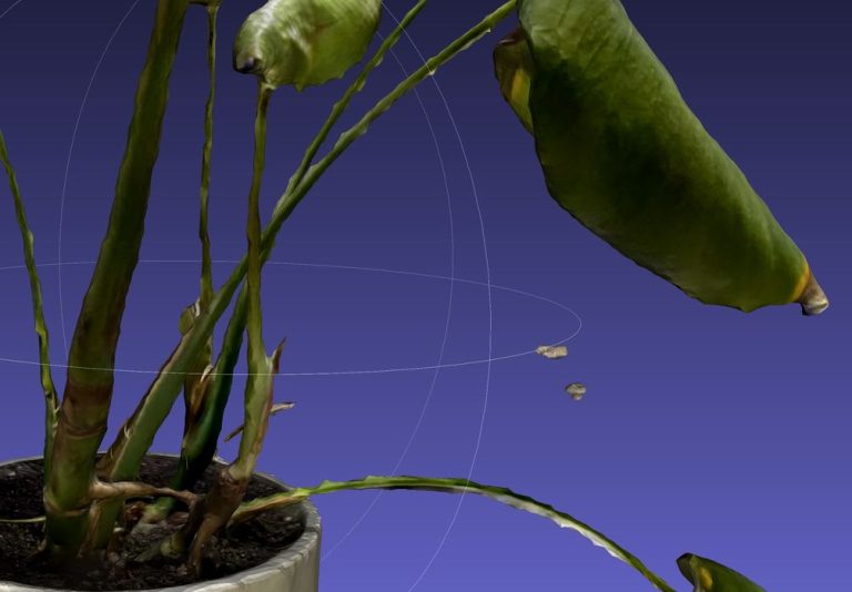 Hands on with the Luma NeRF 3D Scanner App « Fabbaloo