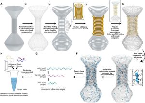 Scientists Discover Way to Create 3D Structures with DNA « Fabbaloo