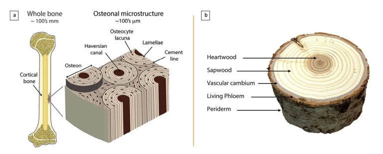 New Metal 3D Printing Technique: Strengthening Parts with a Bimetallic ...