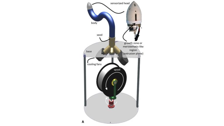 Introducing Filobot: The Self-Printing Growbot That Can Climb Like A ...