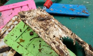 PHA: colorFabb's Fully Biodegradable Alternative to PLA and PETG for 3D ...