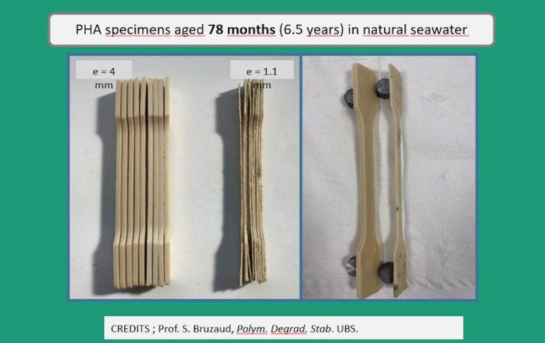 PHA: colorFabb's Fully Biodegradable Alternative to PLA and PETG for 3D ...