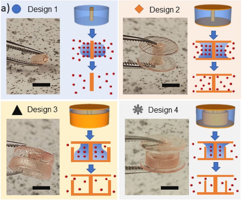 Advances in 3D Printed Drugs: Personalized Treatment and Controlled ...