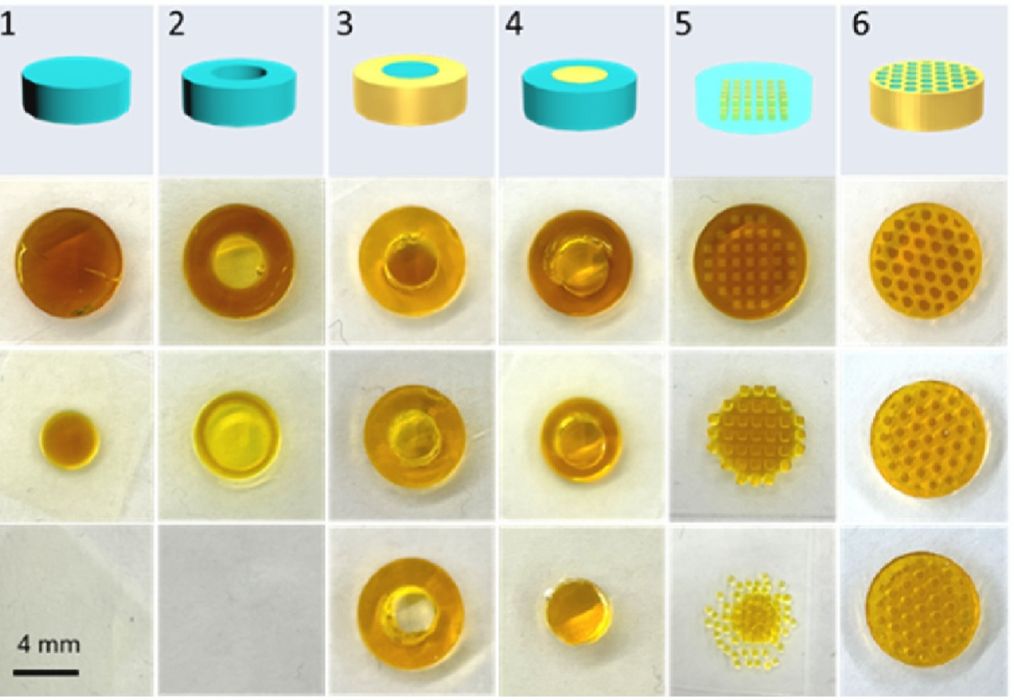 Advances in 3D Printed Drugs: Personalized Treatment and Controlled ...