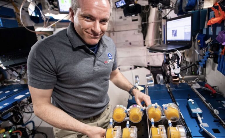 NASA and GrabCAD Launch Bioreactor Design Contest for Deep Space Food ...