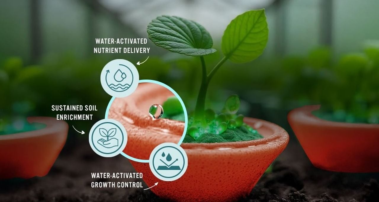 Timeplast's 3D Printable Soap, Fire, Plant Vitamin, and Light ...