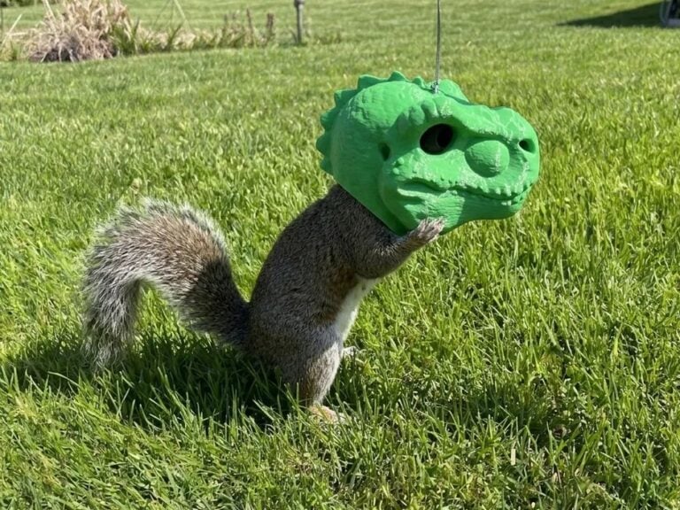 Design of the Week: T-Rex Head Squirrel Feeder « Fabbaloo