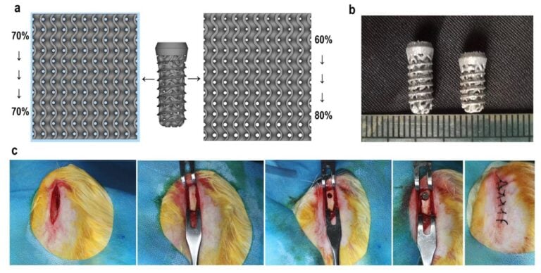 Study Probes 3D Printed Gyroid Implants For Bone « Fabbaloo